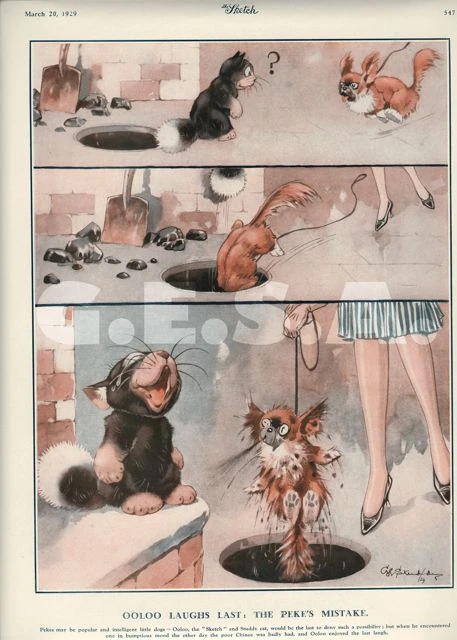 George E. Studdy (1878-1948) | UK Comics Wiki | Fandom