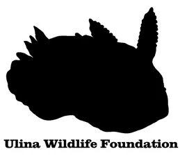 Ulina Wildlife Foundation | Ulina Wiki | Fandom