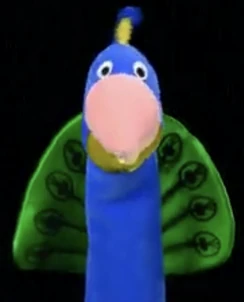 Prism The Peacock | Ultimate Baby Einstein Wiki | Fandom