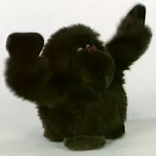 Dancing Go-Go Gorilla | Ultimate Baby Einstein Wiki | Fandom