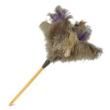 Flylady Feather Duster | Ultimate Baby Einstein Wiki | Fandom