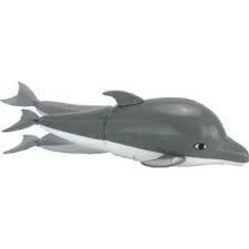 Swimming Dolphin | Ultimate Baby Einstein Wiki | Fandom