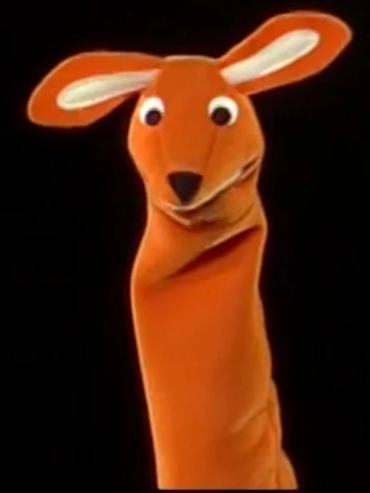 Sunny The Rabbit | Ultimate Baby Einstein Wiki | Fandom