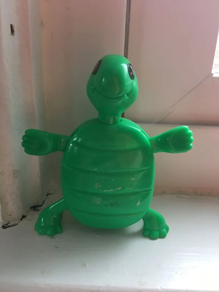 Wind-Up Side Stepping Turtle | Ultimate Baby Einstein Wiki | Fandom