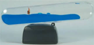 Windsurfer Motion Wave | Ultimate Baby Einstein Wiki | Fandom