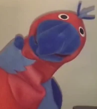 Marco Polo The Parrot | Ultimate Baby Einstein Wiki | Fandom