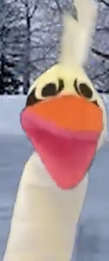 Swanee The Swan | Ultimate Baby Einstein Wiki | Fandom