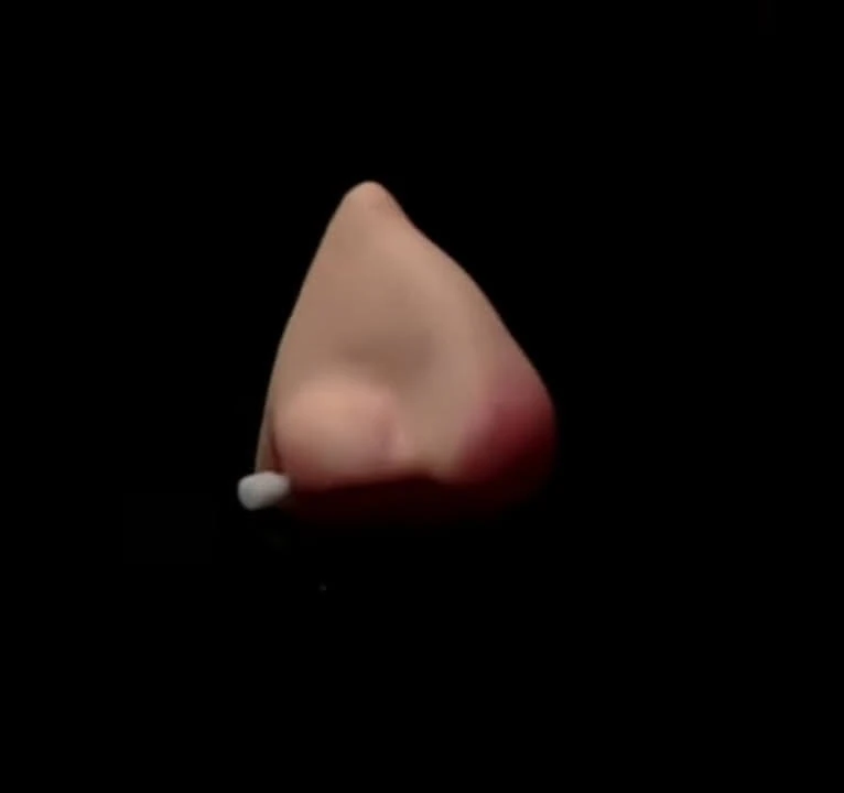 Wind-Up Nose | Ultimate Baby Einstein Wiki | Fandom