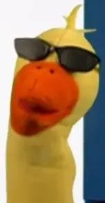 Sunglasses Duck | Ultimate Baby Einstein Wiki | Fandom