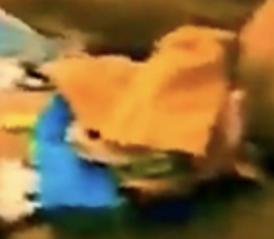 Tatum Christopher Swanson Puppets | Ultimate Baby Einstein Wiki | Fandom