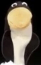 Mark the Penguin | Ultimate Baby Einstein Wiki | Fandom