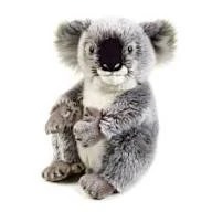 National Geographic Koala | Ultimate Baby Einstein Wiki | Fandom