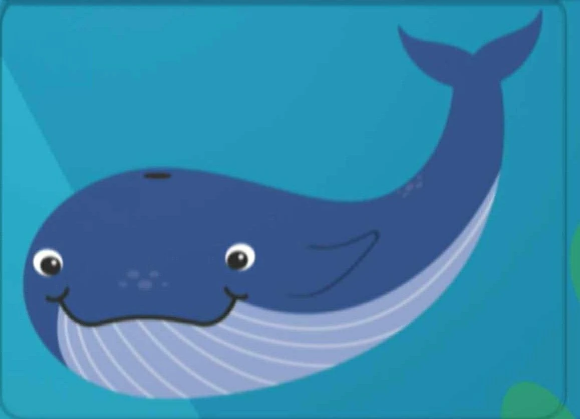 Whale | Ultimate Baby Einstein Wiki | Fandom