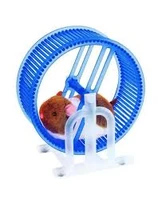 Hamster Wheel Runner | Ultimate Baby Einstein Wiki | Fandom