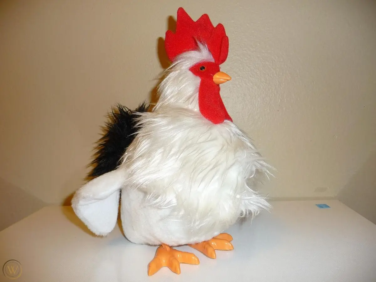 Rikki Chicken | Ultimate Baby Einstein Wiki | Fandom