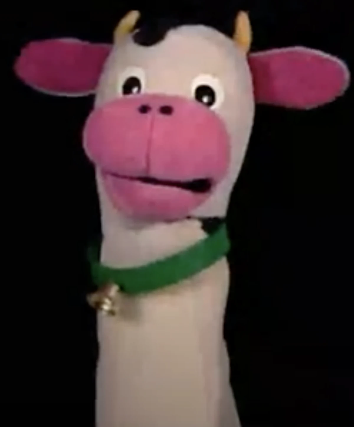 Baby Beethoven: Symphony Of Fun | Ultimate Baby Einstein Wiki | Fandom