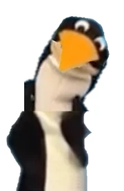 Penelope The Penguin | Ultimate Baby Einstein Wiki | Fandom