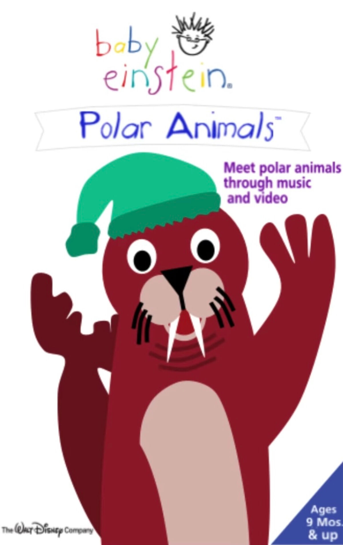 Polar Animals | Ultimate Baby Einstein Wiki | Fandom Polar Animals | Ultimate Baby Einstein Wiki | Fandom