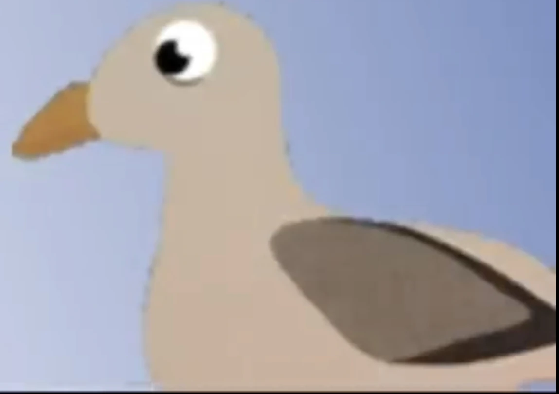 Stephen The Seagull | Ultimate Baby Einstein Wiki | Fandom