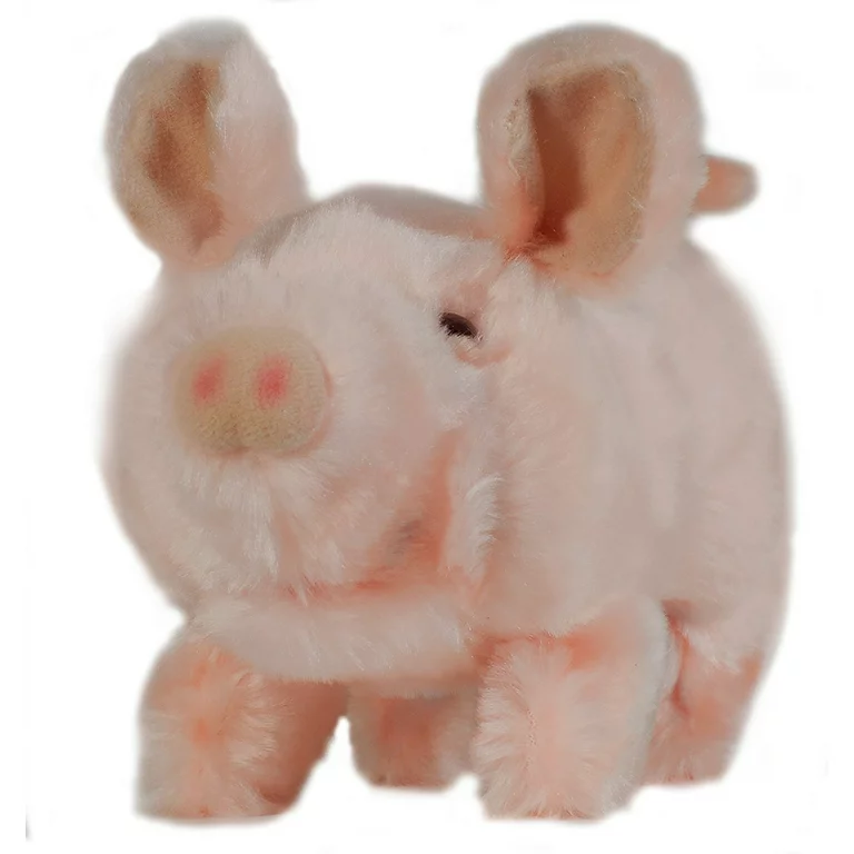 Pudgey Pig | Ultimate Baby Einstein Wiki | Fandom