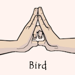 Hand Seals | Ultimate Bingo Book Wiki | Fandom