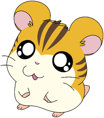 Hamtaro Stan Og Sand Come On, Stan! | The Hamtaro Wiki | Fandom