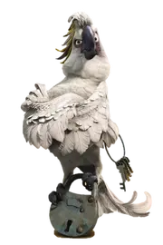 Nigel (Rio) | Ultimate Character and/or Object Fusion Wiki | Fandom