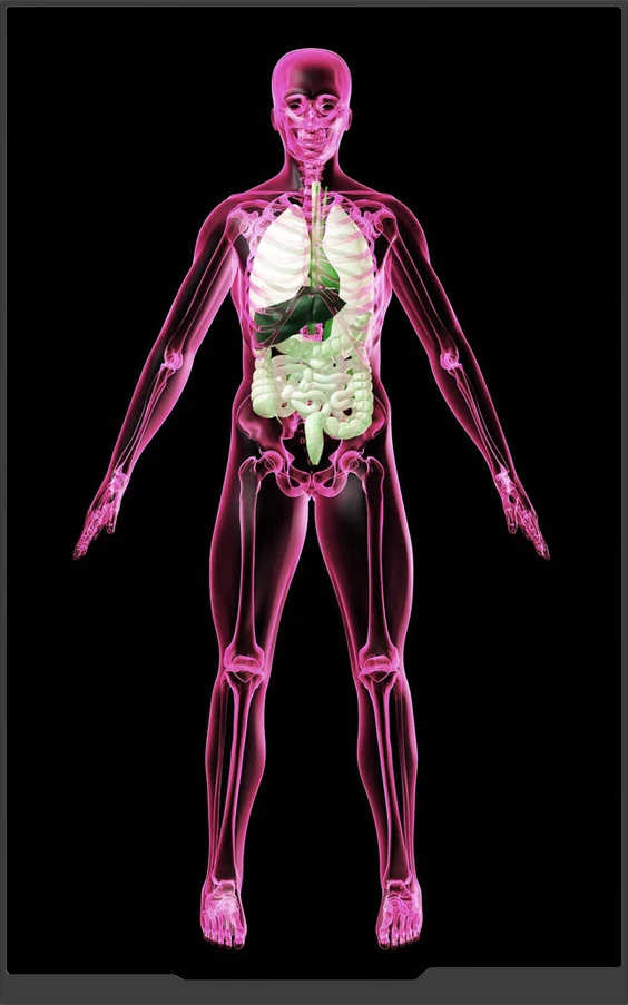 Glob Herman | Ultimate Marvel Cinematic Universe Wikia | Fandom