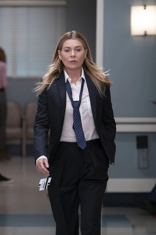 Meredith Grey (Ellen Pompeo) | Ultimate Multiverse Wiki | Fandom
