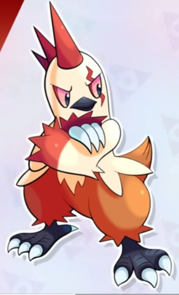 Hyrulian Combusken | Ultimate Pokedex Wiki | Fandom