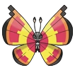 Vivillon | Pokemon Fan Fiction Wiki | Fandom