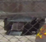 Bullbot | Ultimate Robot Archive Wikia | Fandom