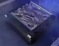 Jav Man | Ultimate Robot Archive Wikia | Fandom