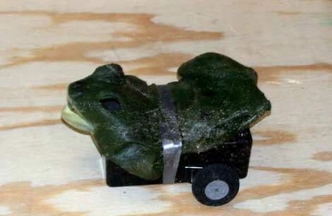 Toad Warrior | Ultimate Robot Archive Wikia | Fandom