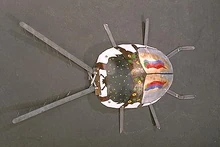 Wonderbug | Ultimate Robot Archive Wikia | Fandom