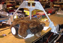 Baby Bear | Ultimate Robot Archive Wikia | Fandom