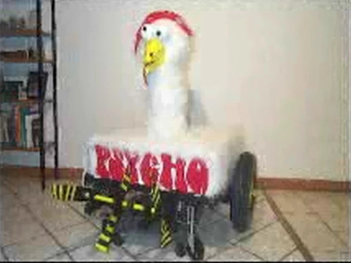 Psycho Chicken (Heavyweight) | Ultimate Robot Archive Wikia | Fandom