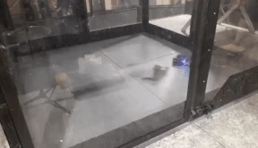 Choppy Boi | Ultimate Robot Archive Wikia | Fandom