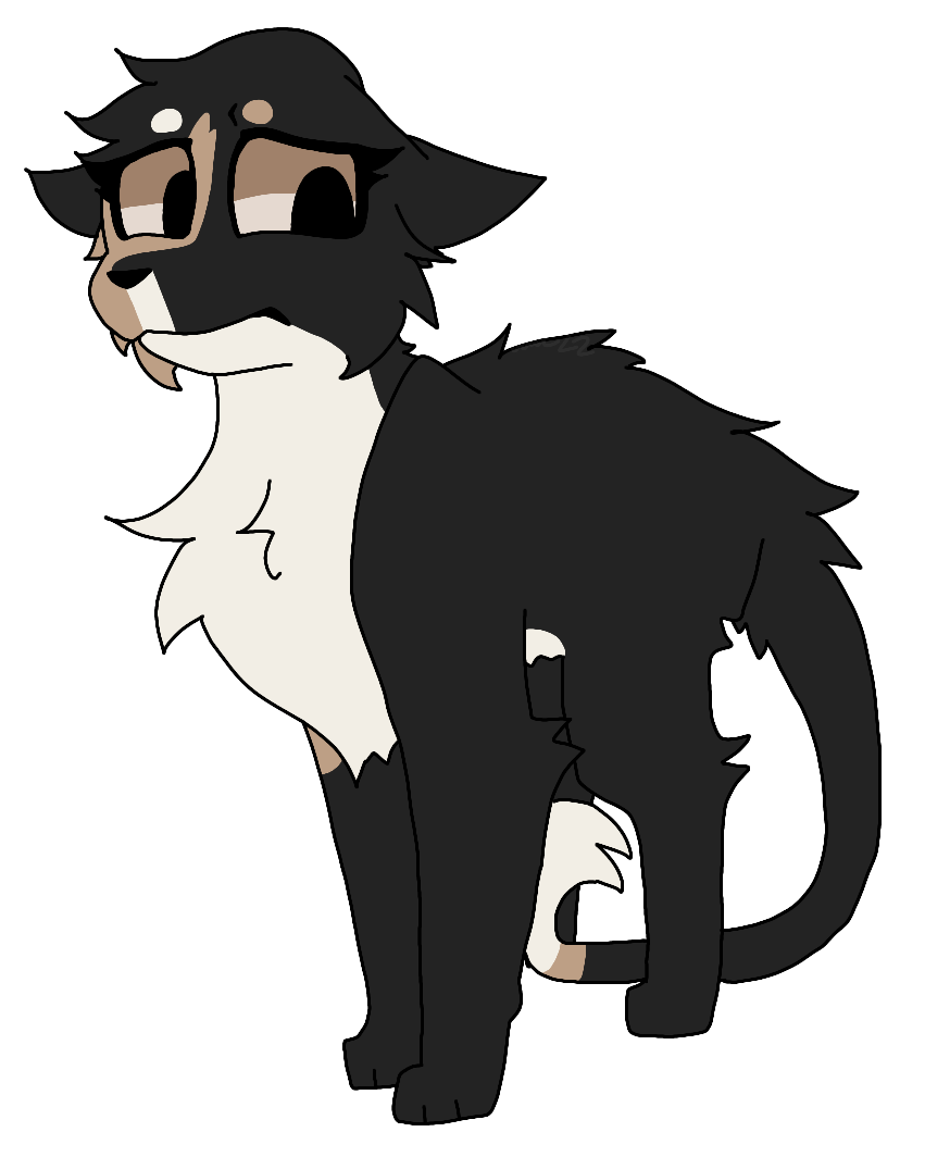 Pebblecloud | Warriors: Ultimate Stars Wiki | Fandom