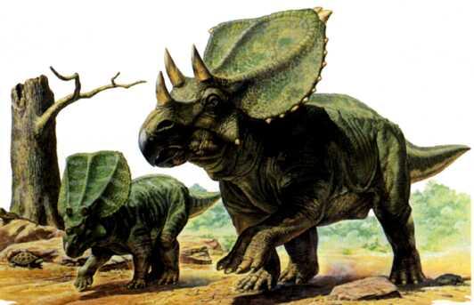 Chasmosaurus | The Ultimate Dinosaur Wiki | Fandom Chasmosaurus | The Ultimate Dinosaur Wiki | Fandom