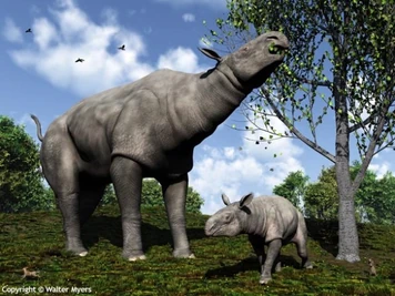 Paraceratherium | Ultimate Extinct Animals Encyclopedia Wiki | Fandom