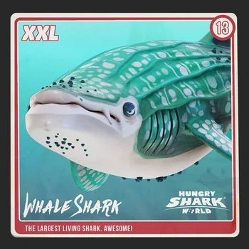 Whale Shark | UltimateHungryShark Wiki | Fandom