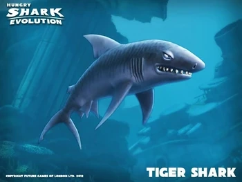 Mini Tiger Shark | UltimateHungryShark Wiki | Fandom