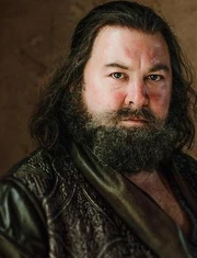 Robert Baratheon | Ultimate Pop Culture Wiki | Fandom