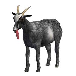 Pilgor | Ultimate Pop Culture Wiki | Fandom