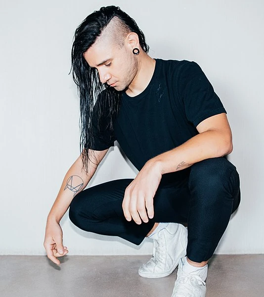 Skrillex | Ultimate Pop Culture Wiki | Fandom