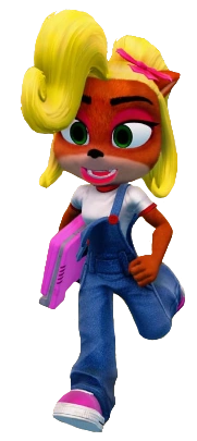 Crash Nitro Kart Coco