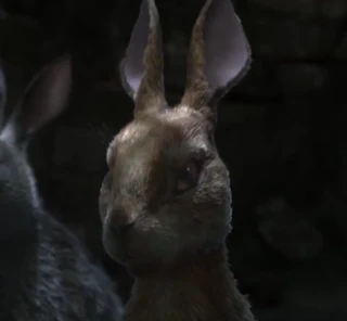Hyzenthlay (Watershipdown) | Ultimate Pop Culture Wiki | Fandom