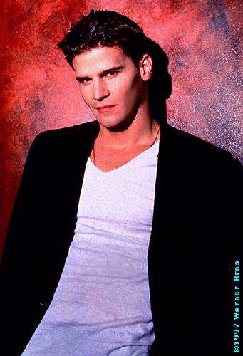 Angel Buffyversegallery Ultimate Pop Culture Wiki Fandom
