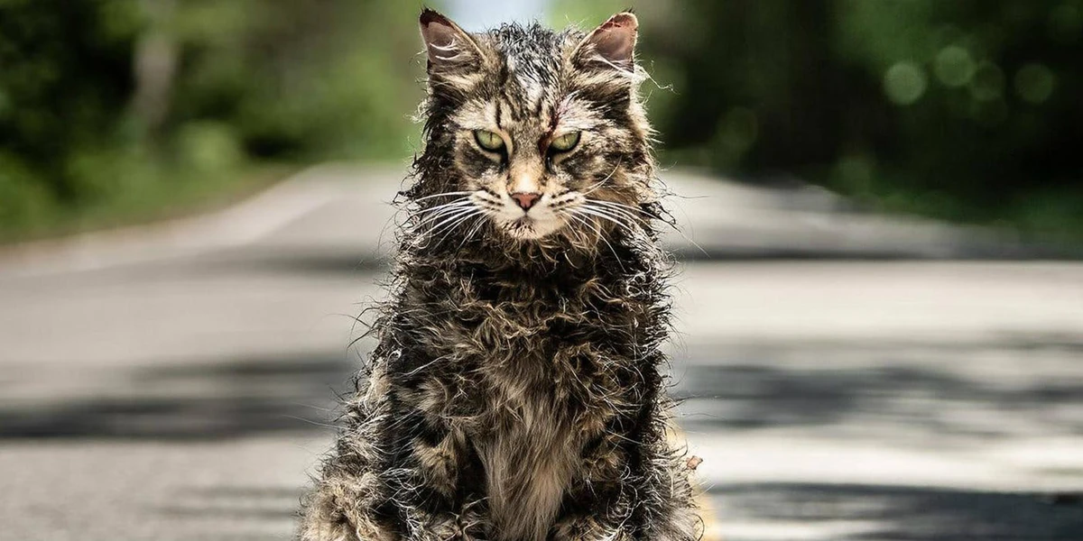 Winston Churchill (Pet Sematary) | Ultimate Pop Culture Wiki | Fandom